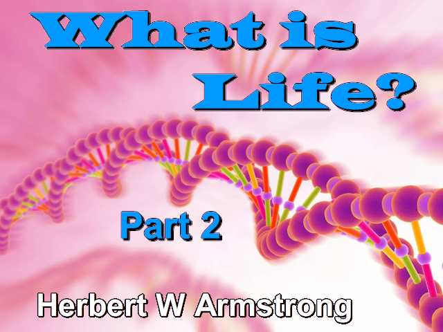 What is Life? – Part 1 of 2 Part Series – Herbert W Armstrong – The ...