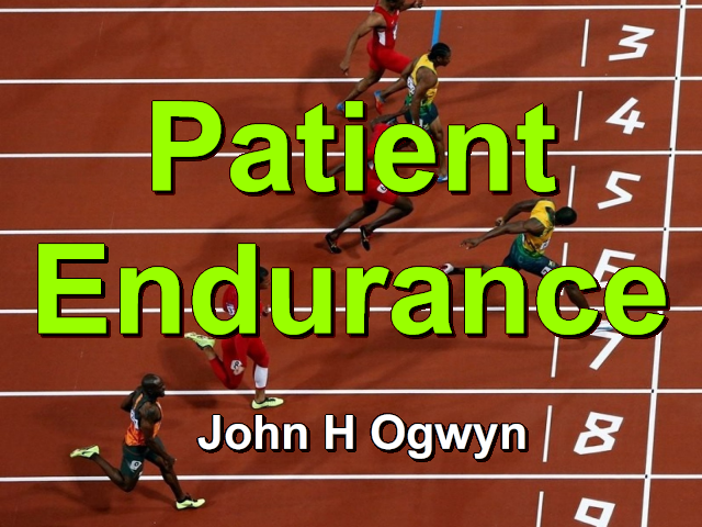 Patient Endurance - John H Ogwyn