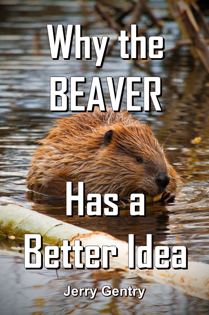 Why the BEAVER Has a Better Idea – Jerry Gentry – Special Topics ...